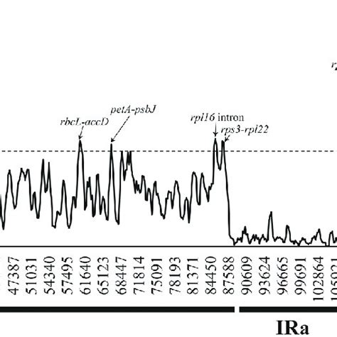 Sliding Window Analysis Of The 17 Salvia Plastomes The X Axis Download Scientific Diagram