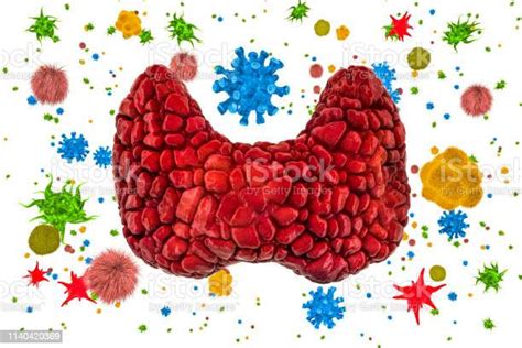 바이러스와 박테리아가 있는 갑 상선 갑 상선 질환 개념 흰색 배경에 고립 된 3d 렌더링 내분비계에 대한 스톡 사진 및 기타 이미지 Istock