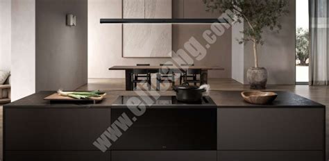 3 In 1 Аспириращ плот с фурна Elica Lhov Домакинският уред който не съществуваше Фурна