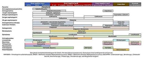 Antimicrobial Spectrum Wikiwand