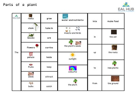 parts of a plant substitution table eal hub