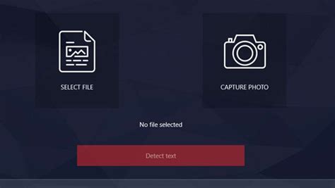how to export text in images using the ocr text detection
