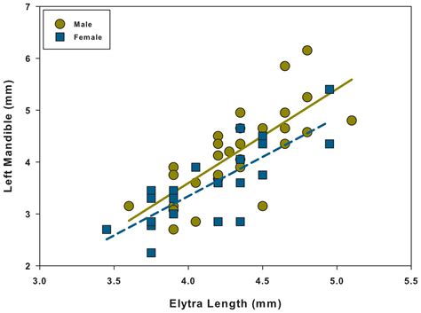 Sexual Dimorphism And Allometry In The Sphecophilous Rove Beetle