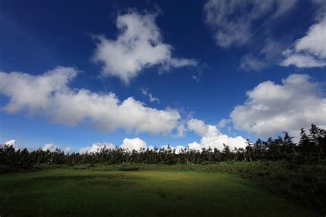 무료 사진 풍경 하늘 자연 나무 분야 잔디 농촌