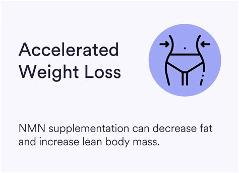 300g Pure Nmn Powder Stabilised For Nad Agemate