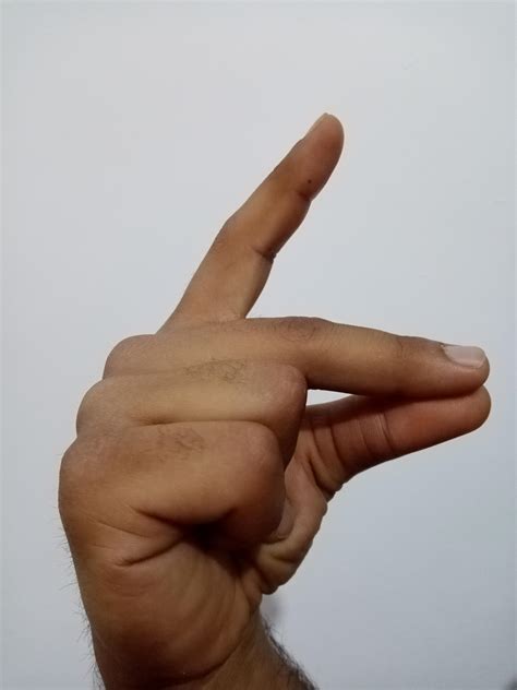 Rgb Arabic Alphabet Sign Language Aasl Dataset Object Detection Dataset And Pre Trained Model