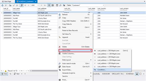 Filtering Data In Grid