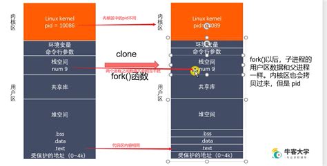 02 linux多进程开发 csdn博客