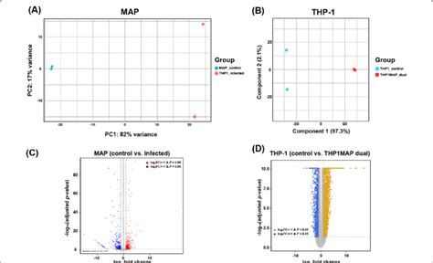Analysis Of Similarity Between Samples Of Gene Expression Patterns The