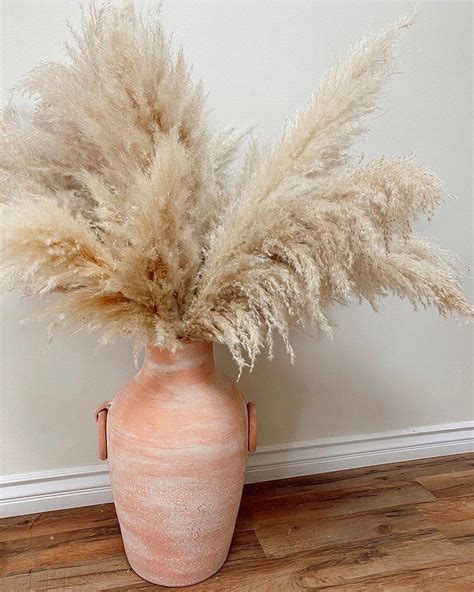 Pampas People On Instagram Pampas Grass Makes A Beautiful Statement