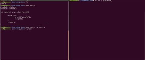 Linux Coredump文件的简单使用查看core文件路径 Csdn博客