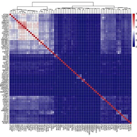 Top 10 Rna Binding Proteins Rbps Identified From The Classification