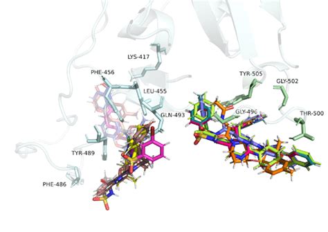 The Predicted Binding Modes Of The 10 Selected Candidates In The Download Scientific Diagram