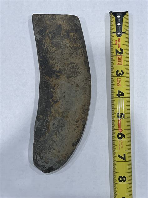 Help On ID Please Fossil ID The Fossil Forum Help On ID Please Fossil ID The Fossil Forum