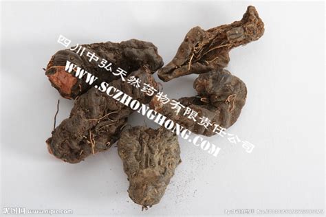 比例提取物 四川中弘天然药物有限责任公司专注植物有效成分研究开发二十余年