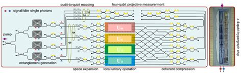 成果 纳光电子前沿科学中心王剑威、龚旗煌团队实现基于超图态的光量子信息处理芯片 北京大学纳光电子前沿科学中心