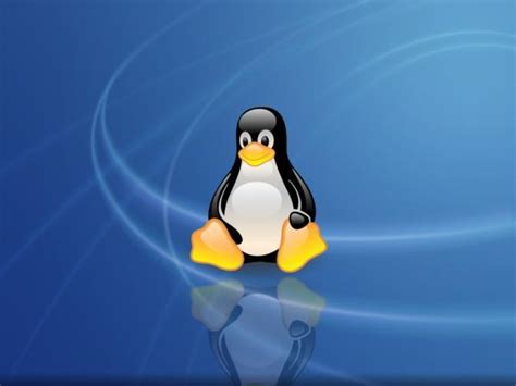 Linux Tux Wallpapers WallpaperSafari