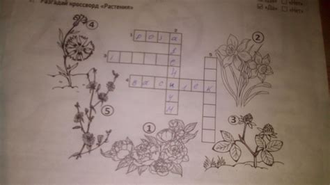 Срочно Решите кроссворд У меня че то не получилось Школьные Знания Com