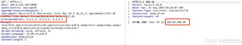 Nginx反向代理时如何传递真实客户端ipnginx传递真实ip Csdn博客