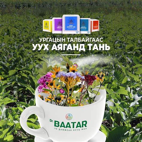 Dr Baatar Brand Хоол хүнсний үндсэн зургаан амт🍲 Хоол хүнсний үндсэн зургаан амт тэнцвэрт