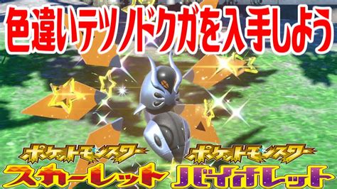 【ポケモンsv】色違いテツノドクガを入手しよう【ポケットモンスター スカーレット・バイオレット】pocket Monsters Youtube