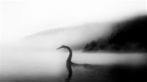 Rätsel Um Monster Von Loch Ness Neue Bilder Und Wärmebildaufnahme