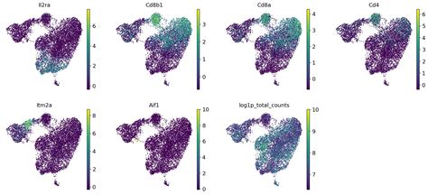 Hands On Filter Plot And Explore Single Cell Rna Seq Data With Scanpy Python Filter Plot