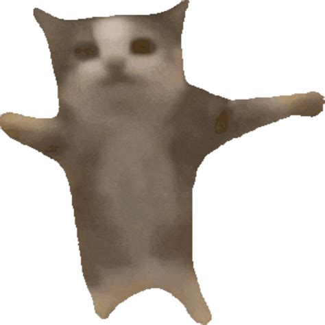 Happy Gato Blank Template Imgflip