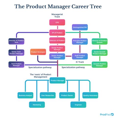The Product Manager Career Path Is Not A Straight Line Prodpad