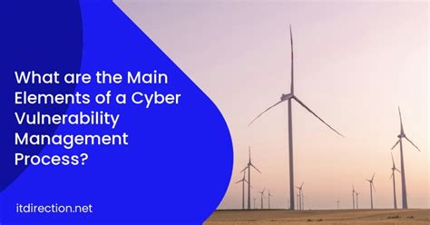 What Are The Main Elements Of A Cyber Vulnerability Management Process It Direction