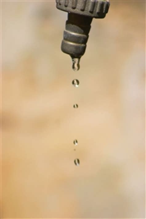 Icp Ms For High Precision Drinking Water Analysis With The Lowest Possible Cost Per Sample