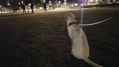 오늘 드디어 친구를 다시 만나요 Youtube