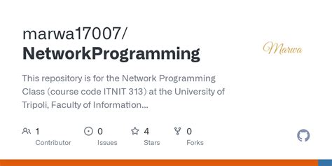 Networkprogramming Ds Store At Main Marwa Networkprogramming Github