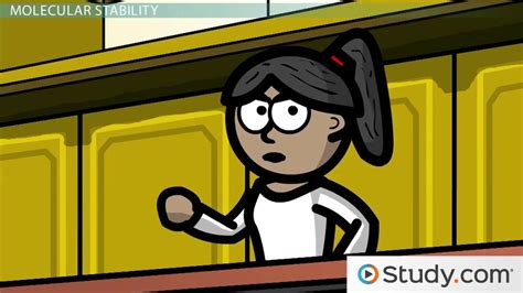 Difference Between DNA RNA Functions Types Lesson Study Com