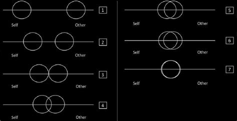 Figure 11 From The Plastic Self Investigating The Processes Of Self