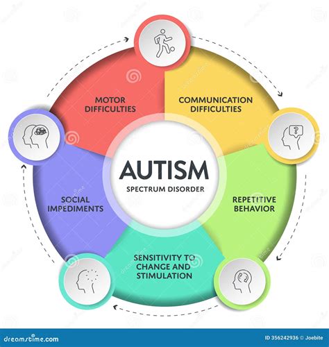 Autism Spectrum Disorder Asd Infographic Presentation Template With Icons Vector Illustration