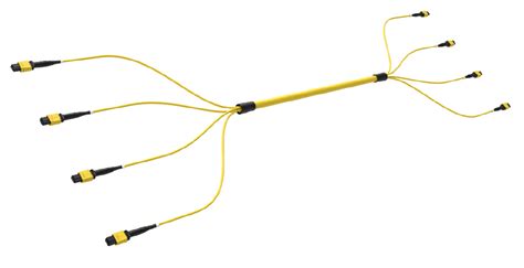 Giganet Mtp Mpo Base 12 Trunks