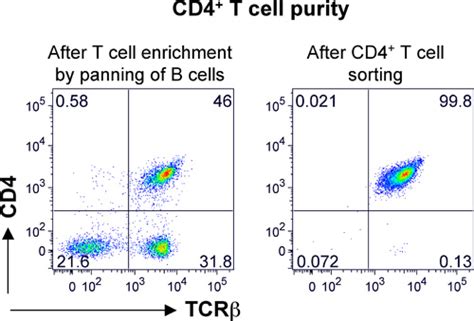 purification of specific cell population by fluorescence activated cell sorting facs article