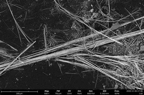 Desktop Sem Accelerating Automation And High Throughput Research In Any Lab Electron Microscopes