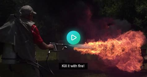 Someting Bugging You  On Imgur