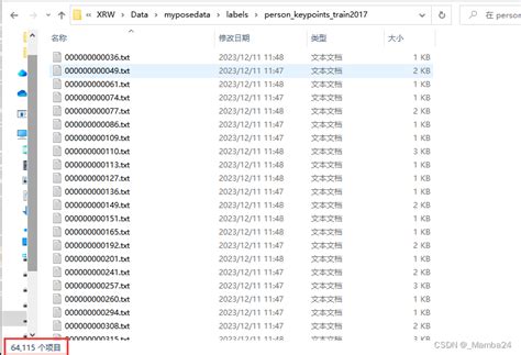 将coco数据集json格式转成训练yolov8 Pose姿态的txt格式coco转txt Csdn博客
