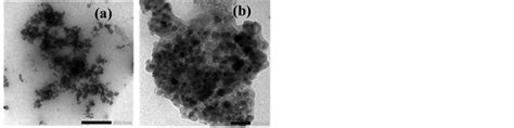 Visible Light Photoelectrocatalytic Degradation Of Rhodamine B Using Ti