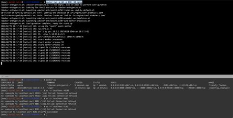 port publishing with unspecified host port does not work · issue 195