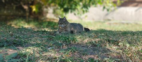 Miro Loses Weight Month 1 With Pathos Album On Imgur