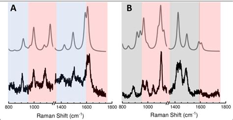 Experimental Ters Spectra Lower Traces In Both Panels Are Compared To