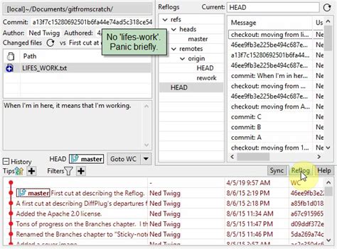 Delete A Commit Then Get It Back Diffplug Docs
