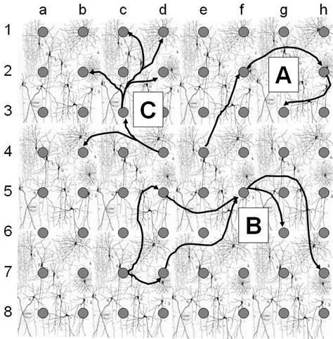 Hypothetical Micro Electrode Array Showing Three Networks That Can