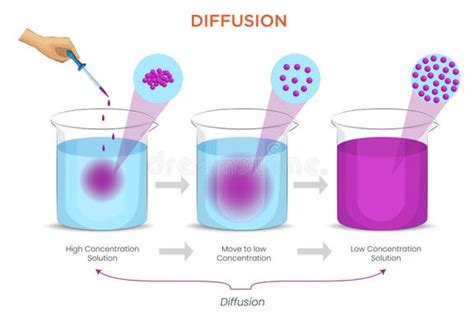 Particle Diffusion Stock Illustrations 661 Particle Diffusion Stock Illustrations Vectors