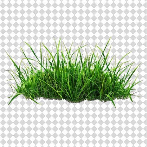 Without Background Grass Images Free Download On Freepik