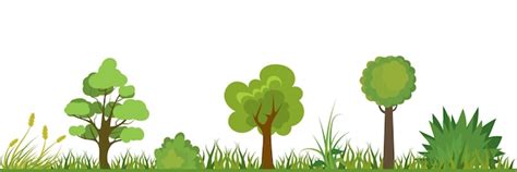 Premium Vector Nature Landscape Trees Shrubs Flowers And Grass Vector Illustration